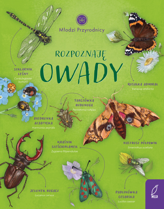 Młodzi przyrodnicy. Rozpoznaję owady - Patrycja Zarawska - książka ...
