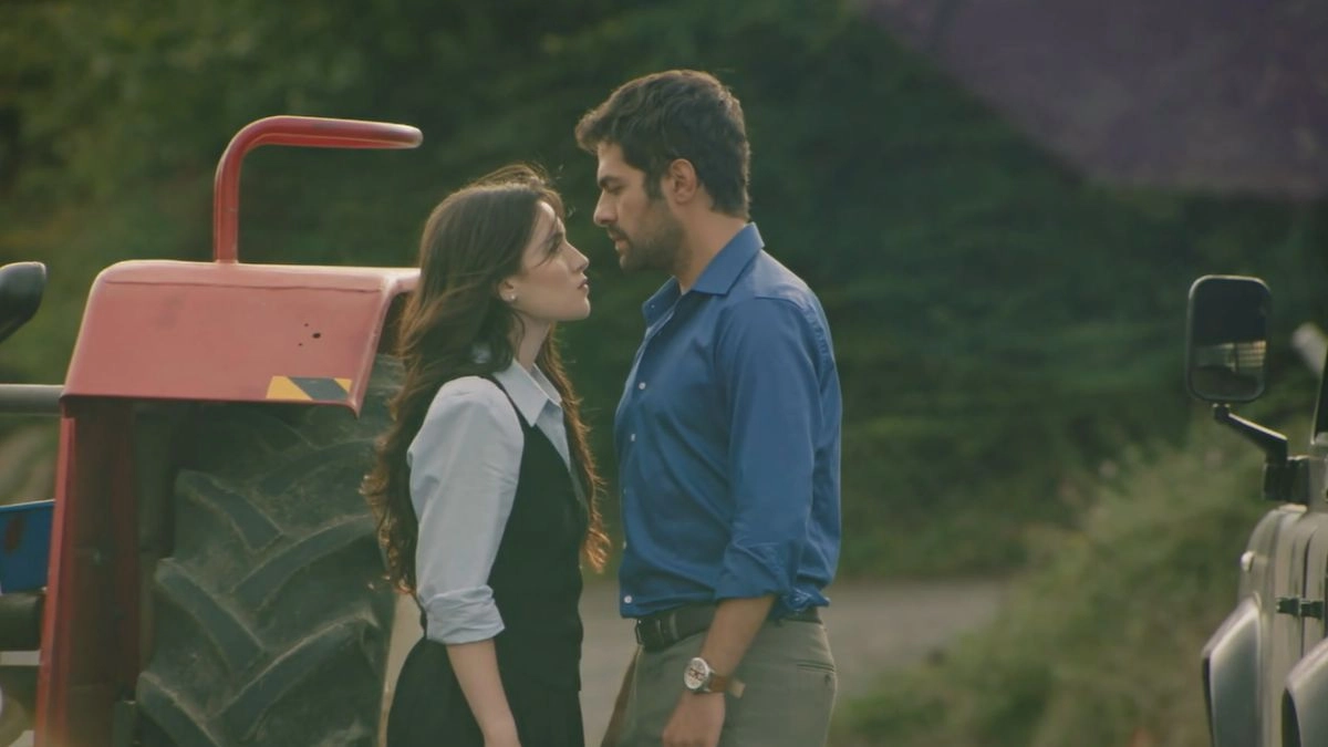 Wichrowe wzgórze - 253 i 254 odc. Wiemy kto wygra wybory na szefa spółdzielni!. Streszczenie 252 ...